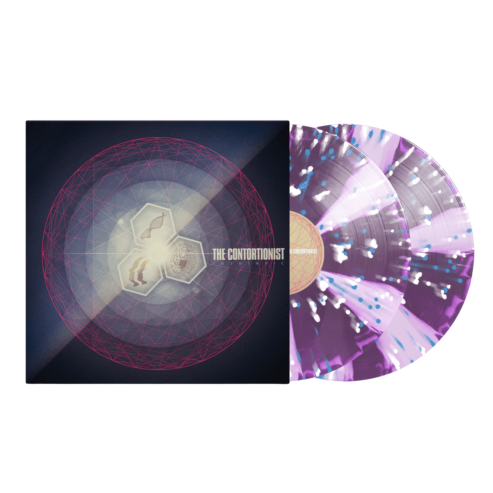The Contortionist Official Label Store | Intrinsic Pinwheel Splatter Vinyl